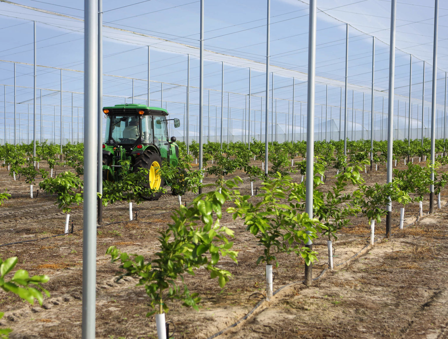 PM Citrus – Enjoy the Fruits of our Labor